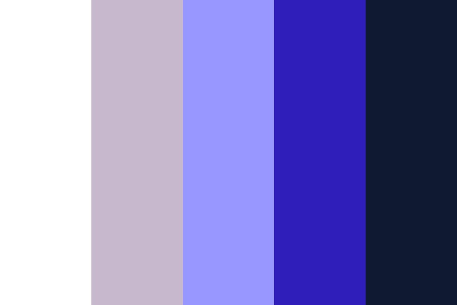 RAINE Color Palette